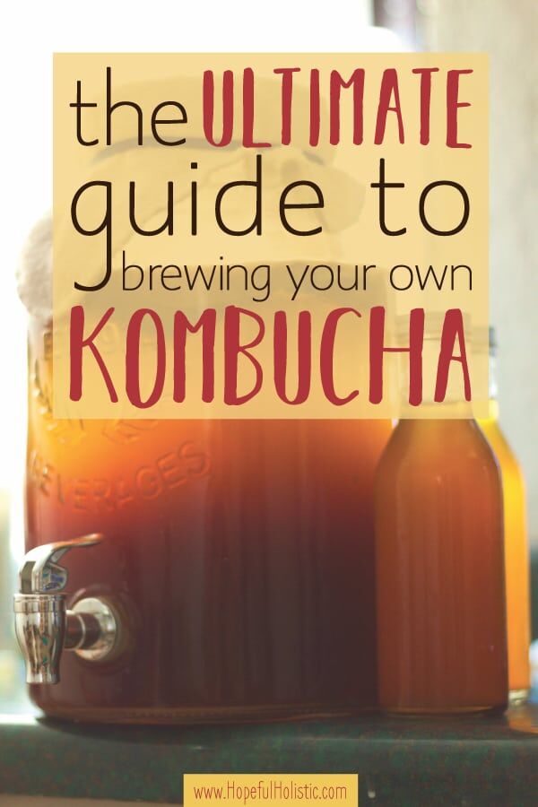 The ultimate guide to brewing kombucha like a pro