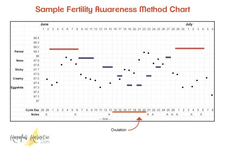 How to use the fertility awareness method for natural, effective birth ...
