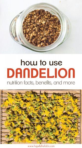 Dandelion benefits from flower to root- dandelions are good for you!